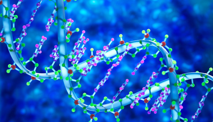 Boston Hospital & Medical Center - Brigham and Women's Hospital